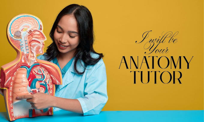 Tutor you in anatomy,physiology,pathology and pharmacology by Bright ...