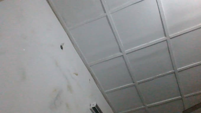 Teach you amala and efo riro and ewedu by Miskeji | Fiverr