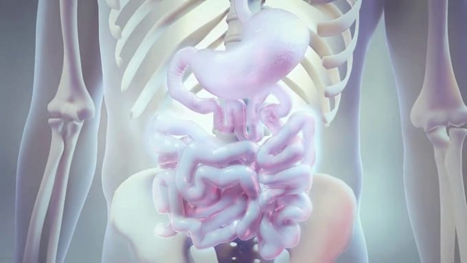 Do 3d medical animation drug moa pharma biotech scientific 3d explainer ...