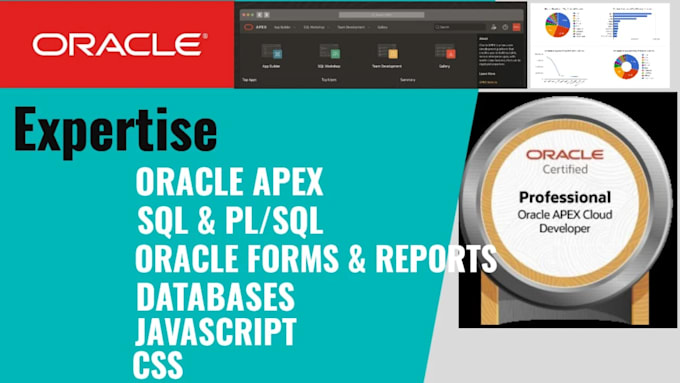 Develop, design forms and reports in oracle apex by Rauf925250 | Fiverr