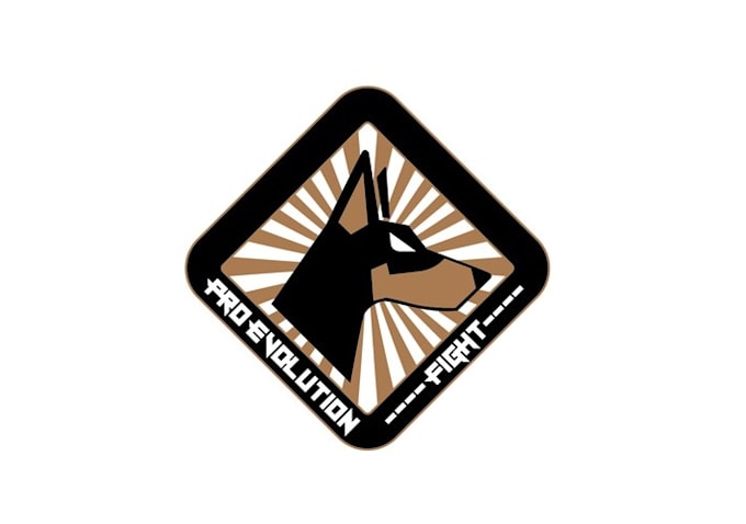 Design traditional sports brand logo by Natalia_lina | Fiverr