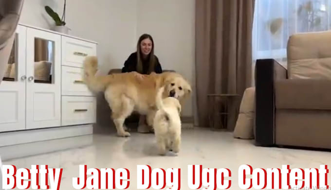 Create dog or cat ugc video for pet product dog company and social ...