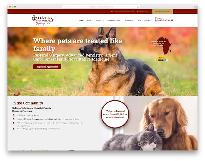 Design a modern and responsive veterinary website for your clinic by ...