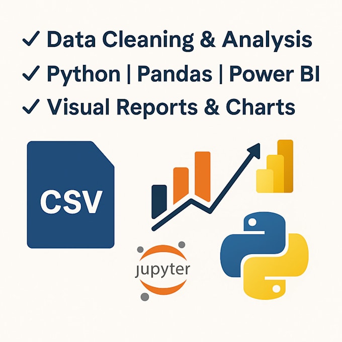 Clean, analyze and visualize your data using python by Nacer_kenpachi | Fiverr