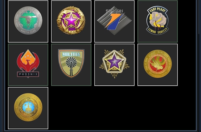 Boost your cs2 xp, levels and service medals safely and fast by ...