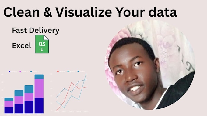Clean, validate and visualize your data in excel by Ethenskariuki | Fiverr
