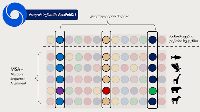 Create modern and engaging powerpoint presentations by Namitcha | Fiverr