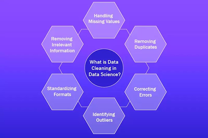 Clean and format you excel or csv dataset by Nishikarawat953 | Fiverr