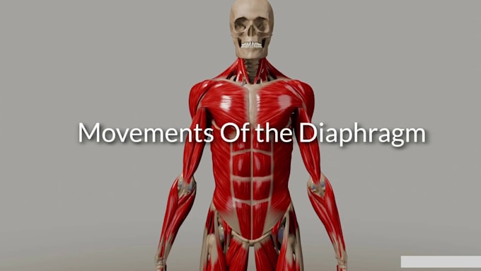 Create 3d medical animation 3d animation anatomy 3d orthopedic ...