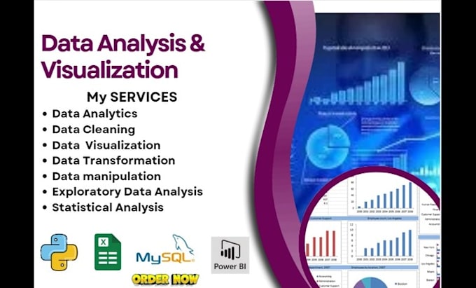 Be your data analyst for data cleaning, manipulation, visualization using python by Kumar ...