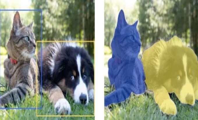 Do machine learning, deep learning, computer vision projects by ...