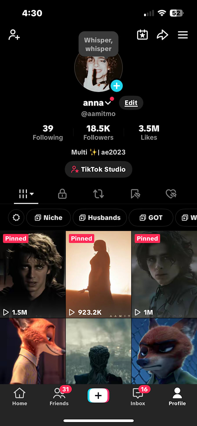 Create tiktok edits with velocity, transitions, and effects by Aamitmo ...