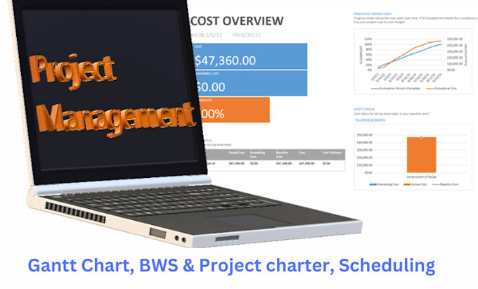 Create project charter, gantt chart, schedule activities, and wbs on ms ...