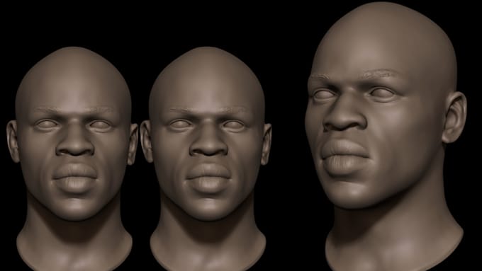Create a realistic 3d head, 3d face, 3d bust model for 3d printing by ...