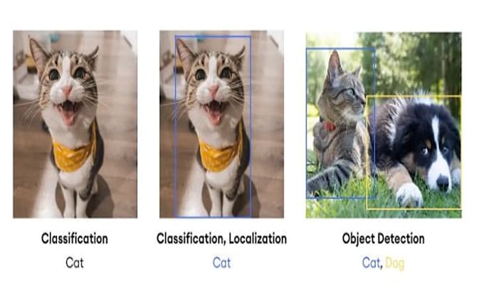Clasificación de imágenes, proyectos de redes neuronales usando yolo cnn rnn lstm opencv