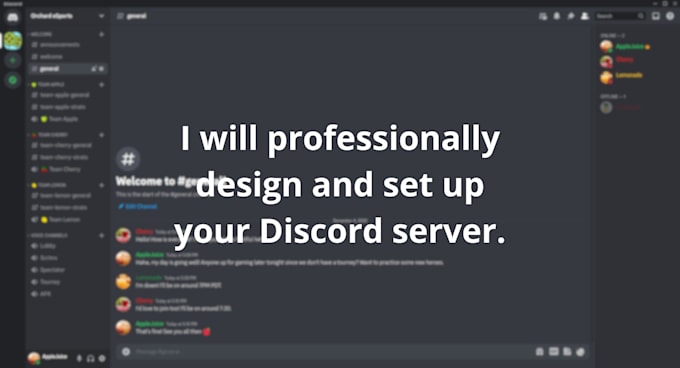 Make custom built professional discord server by Dulakg | Fiverr