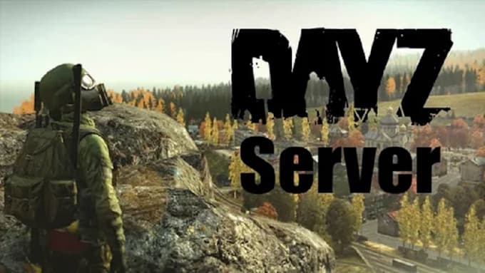 Setup dayz server,dayz mod creation,export 3d assets,clothing to server ...