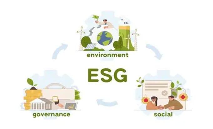 Write sustainability report and expertly analyze esg, ems ghg account by Nitina6533 | Fiverr