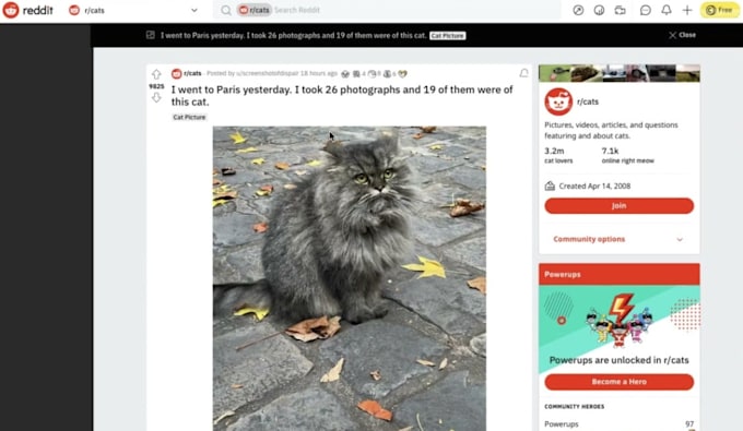 Reddit bot, account warm bot, build karma, commenting, python automation script by Hmondhil18 ...