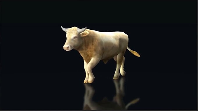 Do realism 3d animal models, animal animation, character rigging, xgen ...