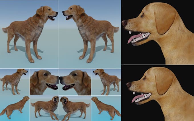 3d animal model 3d pet dog model cat realistic fur hair groom for 3d ...