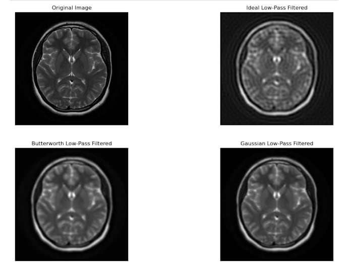 Develop digital image processing solutions python and opencv by Maidashahzad | Fiverr