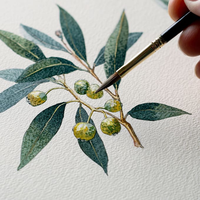 Create a realistic botanical drawing by Klephophe2 | Fiverr