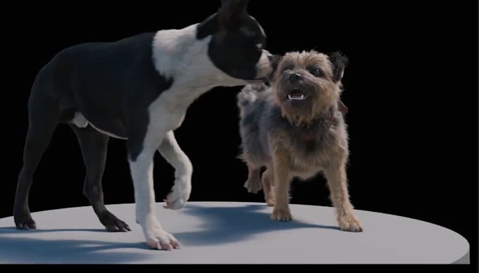 Cgi animation animation,3d animal model fully rigging animal character ...