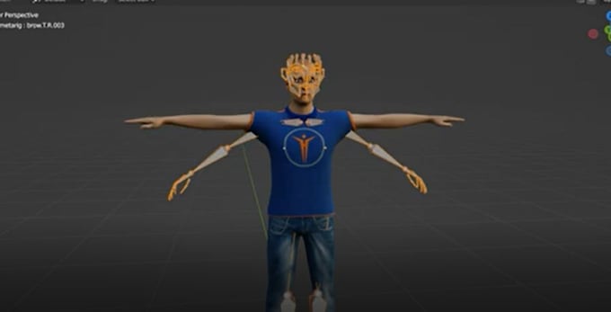 3d rig metahuman character, rig for vseeface,wonder studio,houdini,face ...