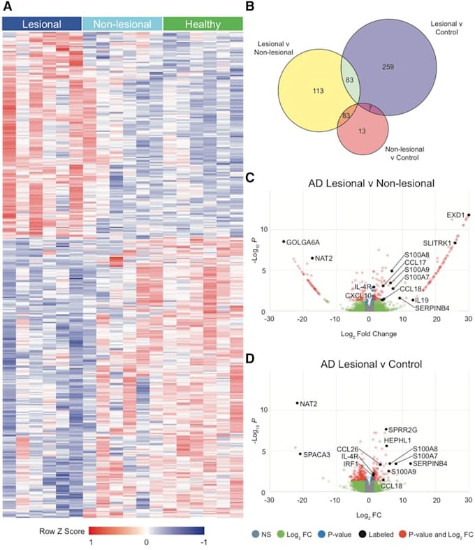 Analyze bioinformatics data using ai, ml, python, r by Asimmehmoodai ...