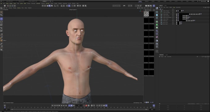 Model, rig and animate characters in cc4, iclone 8, reallusion ...