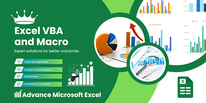 Make dashboard using vba and macro and also do data entry by Attia_502 ...