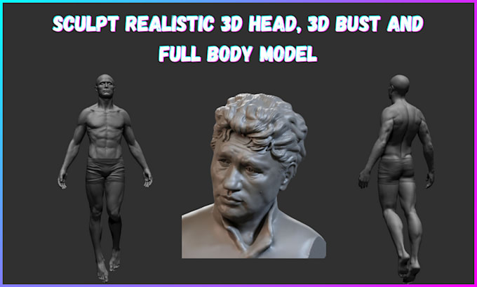 Sculpt realistic 3d head, 3d bust and full body model by Peter_3dsculpt ...