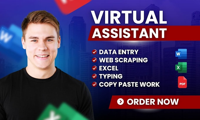 Do professional data entry, copy paste, web research and admin support ...