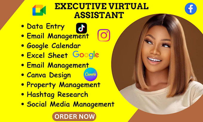 Be your data entry personal executive social media virtual assistant ...