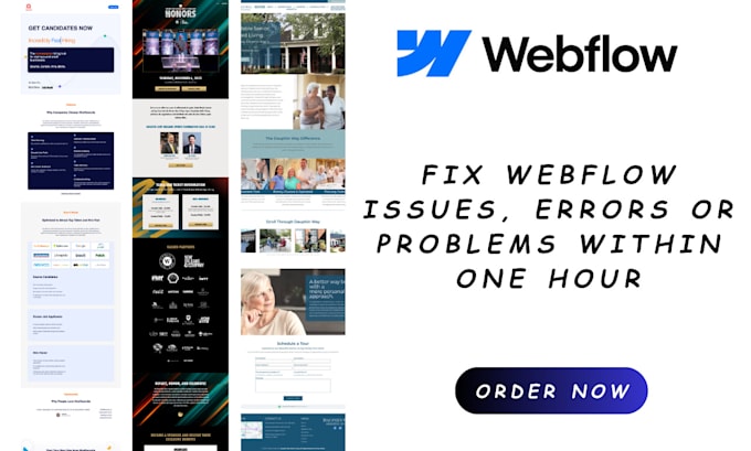 Fix webflow issues, webflow bug fix, fix webflow errors by Boosthive_ | Fiverr