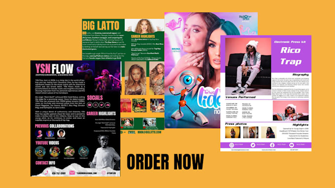 Epk media kit press kit one sheet interactive artist musician dj author ...