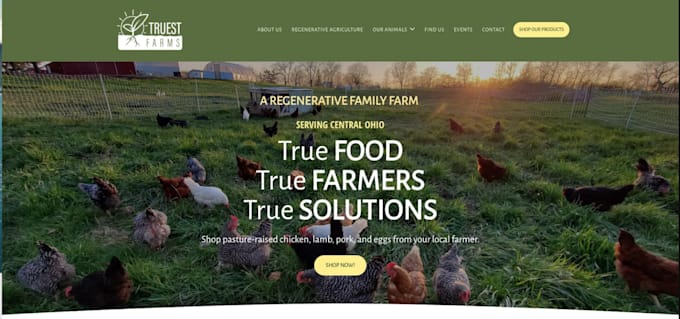 Design farm product website, poultry website, farm store, livestock ...