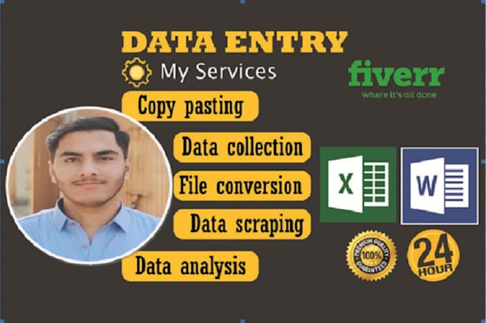 Do professional excel data entry, formatting, and analysis by Alihassan09766 | Fiverr