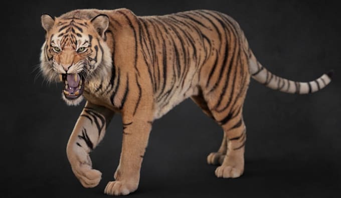Build 3d character for wildlife animation,vfx video,furry animal in ue5 ...