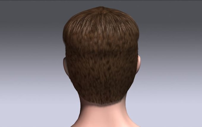 Do 3d hair xgen hair realistic hair and animal fur by Klaus_sanchez ...