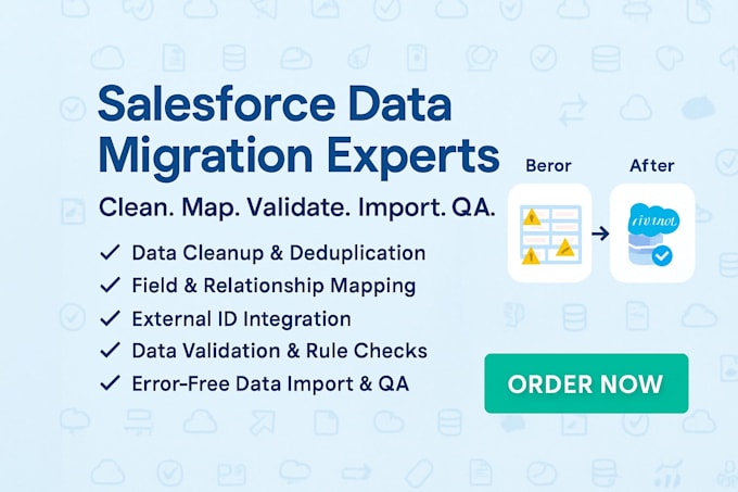Setup salesforce data migration import cleanup mapping validation ...