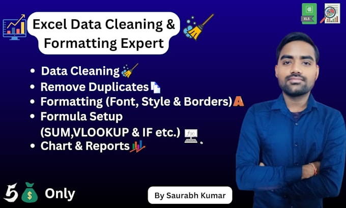 Clean, organize, and format your excel data professionally by ...