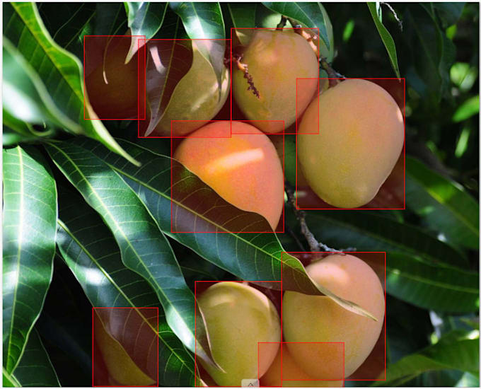 Do accurate image annotation and labeling for ai and ml datasets by Mak_khalid | Fiverr