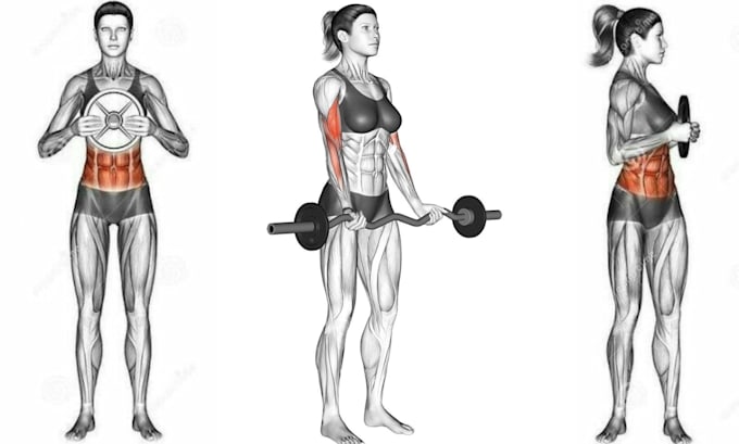 Create workout animation anatomy of fitness and bodybuilding gym ...