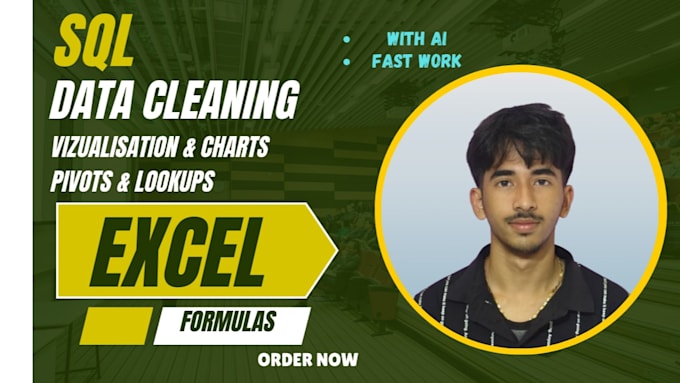 Clean, analyze and visualize your data in excel sql by Jp_dataanalysis | Fiverr