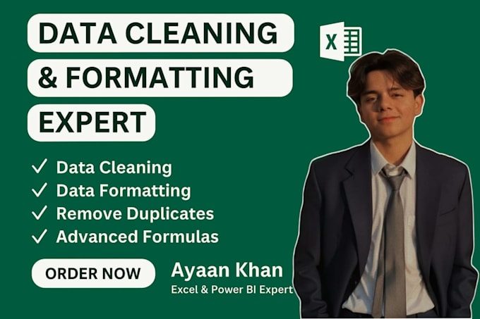 Clean, organize, and prepare your data in excel by Ayaaan_excel | Fiverr
