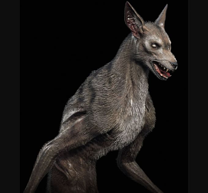 Be 3d werewolf modeler, rigger and animator optimize for unity, ue5 ...