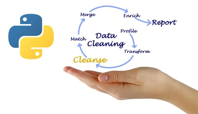 Clean and transform data using python by Maithilikadapat | Fiverr