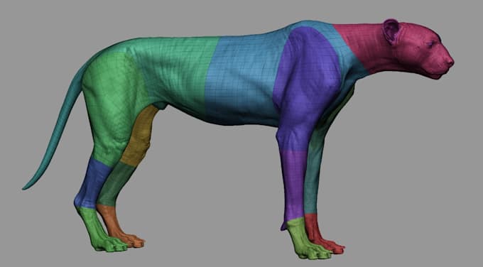 Model 3d creatures including anatomy,cheetah ,animal rig, vfx cgi,idle animation by Ninanlow ...